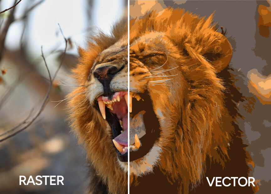 Raster vs. Vector | Rand-Whitney