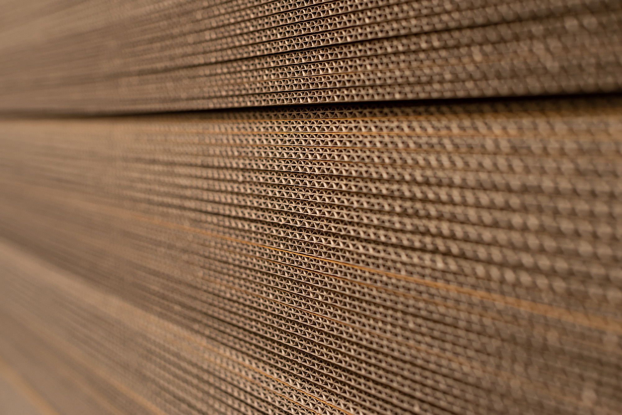 Mullen vs. ECT: Which test is right for you? | Rand-Whitney