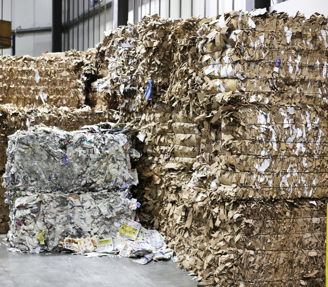 What Does a Box Maker's Cert Stamp Mean to you? | Rand-Whitney